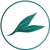 Promotions - JD Purity Spa